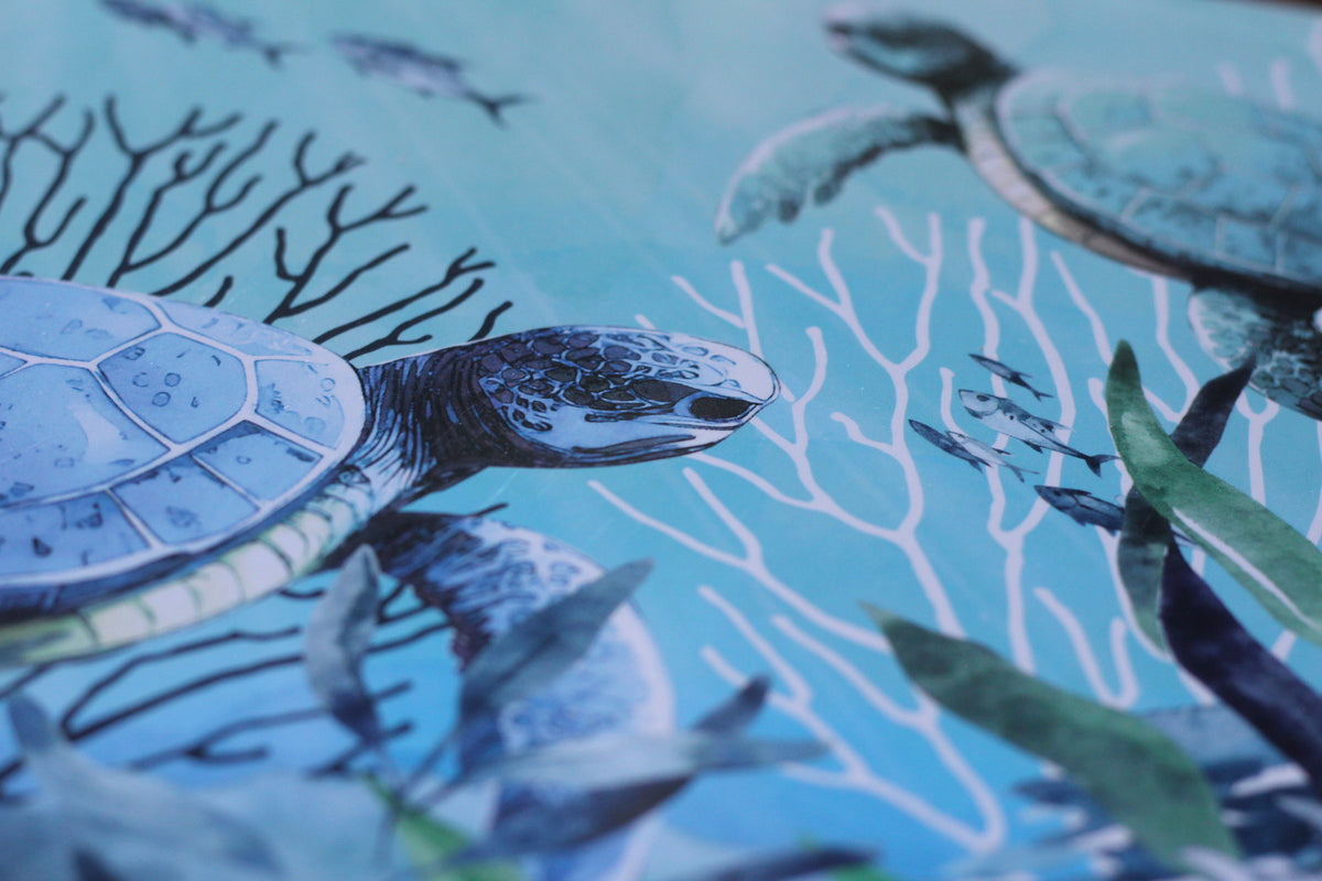 Turtle Placemats – Lisa Pollock