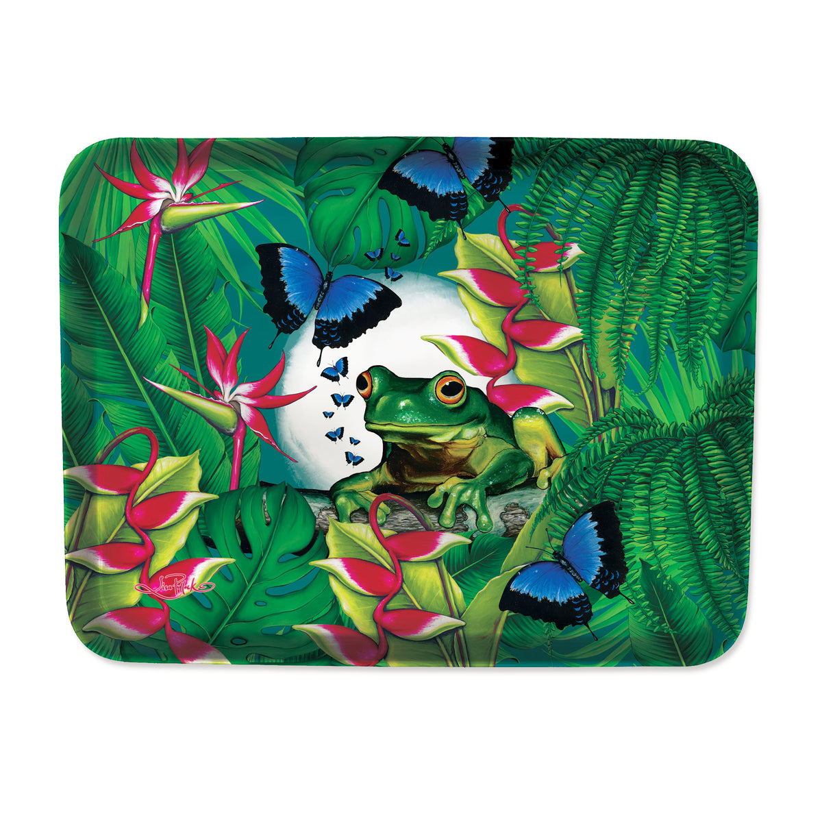 Melamine Snack Tray - Green Frog – Lisa Pollock